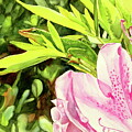 William Lum - Official Website